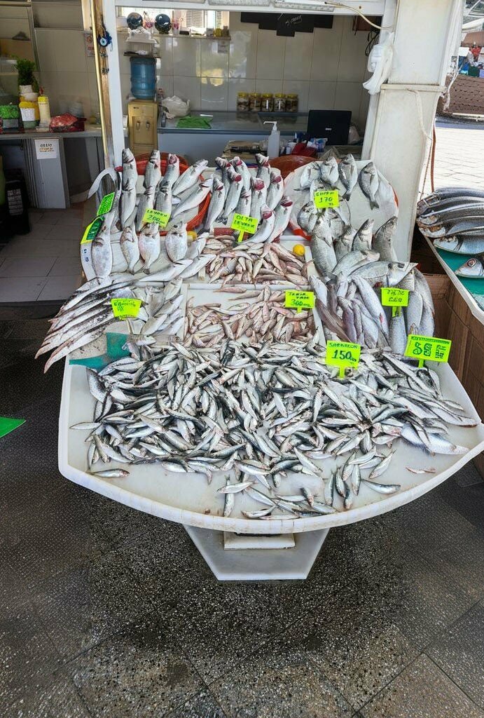 Market İskele Balık Hali, Burhaniye, foto