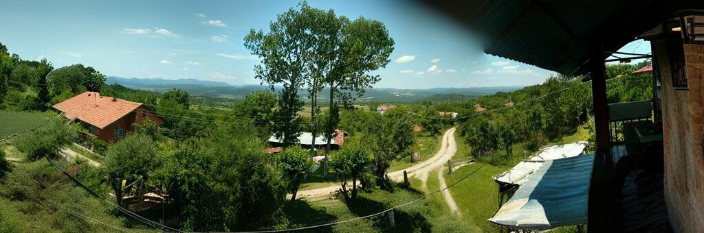 Muhtarlıklar Aşağı Yazı Köy Muhtarlığı, Araç, foto