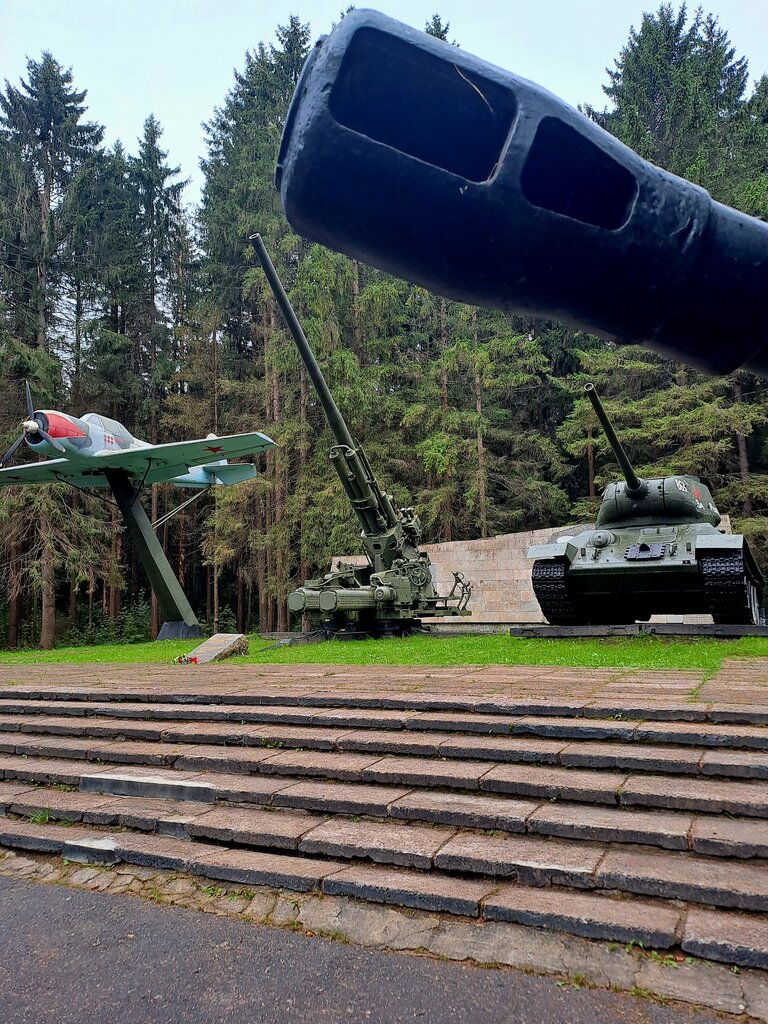 Teknoloji anıtı Самолёт Як-50П, Krasnoye Selo, foto