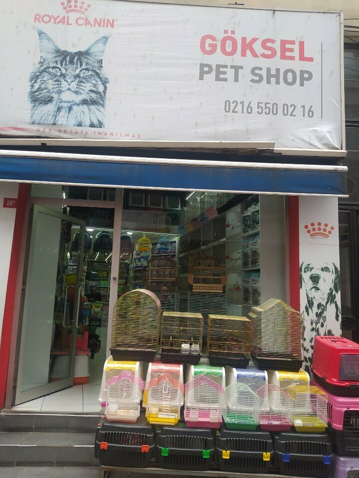 Petshop Göksel Pet Shop, İstanbul, foto
