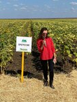 AgroMarket-Saratov (ulitsa Rakhova No:49, posyolok Dubki), tohum üretimi  Saratovskaya oblastından
