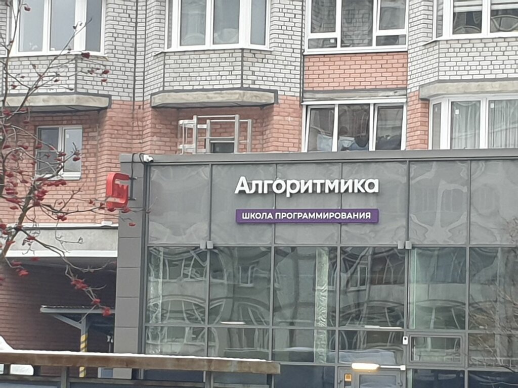 Kurs Algoritmika, Cherepovets, foto