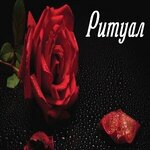 Polimer (ulitsa Dekabristov No:79), cenaze hizmetleri  Noginsk'ten