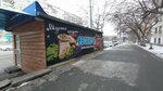 Шаурма (Engelsa Street No:83), fast food  Çeliabinsk'ten