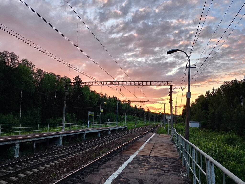 Tren istasyonu платформа 214 километр, Moskova ve Moskovskaya oblastı, foto