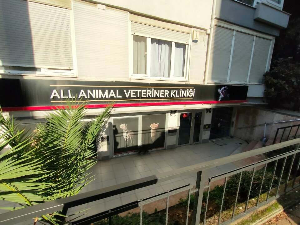 Veteriner klinikleri All Animal Veteriner Kliniği, İstanbul, foto