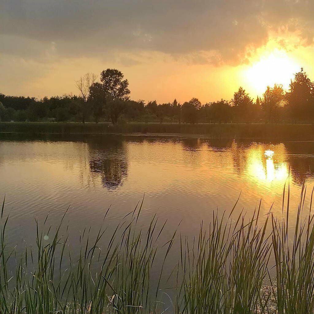 Parklar ve ormanlar Gölya Tabiat Parkı, Arifiye, foto