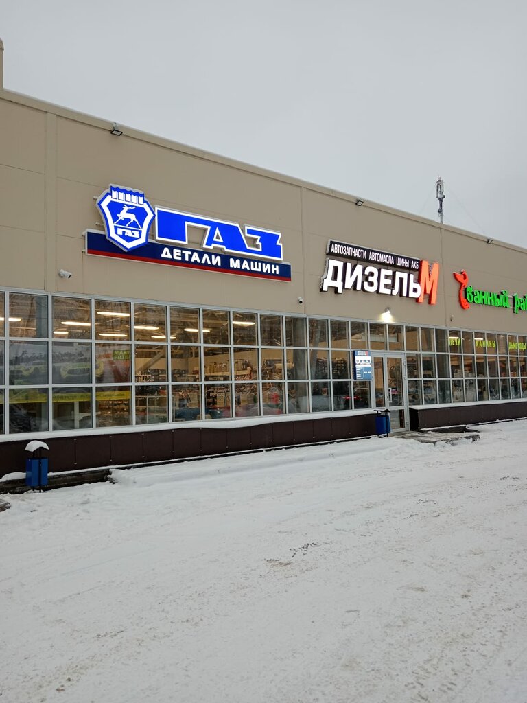 Otomobil yedek parçaları Dizel-M, Murom, foto