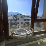 Petzone (Kayseri, Talas, Mehmet Akif Ersoy Cad.), petshop  Talas'tan