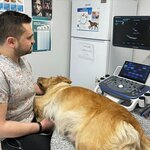 Patipet Veteriner Kliniği (Afyonkarahisar, Afyonkarahisar Merkez, Atatürk Cad., 67E), veteriner klinikleri  Afyonkarahisar'dan