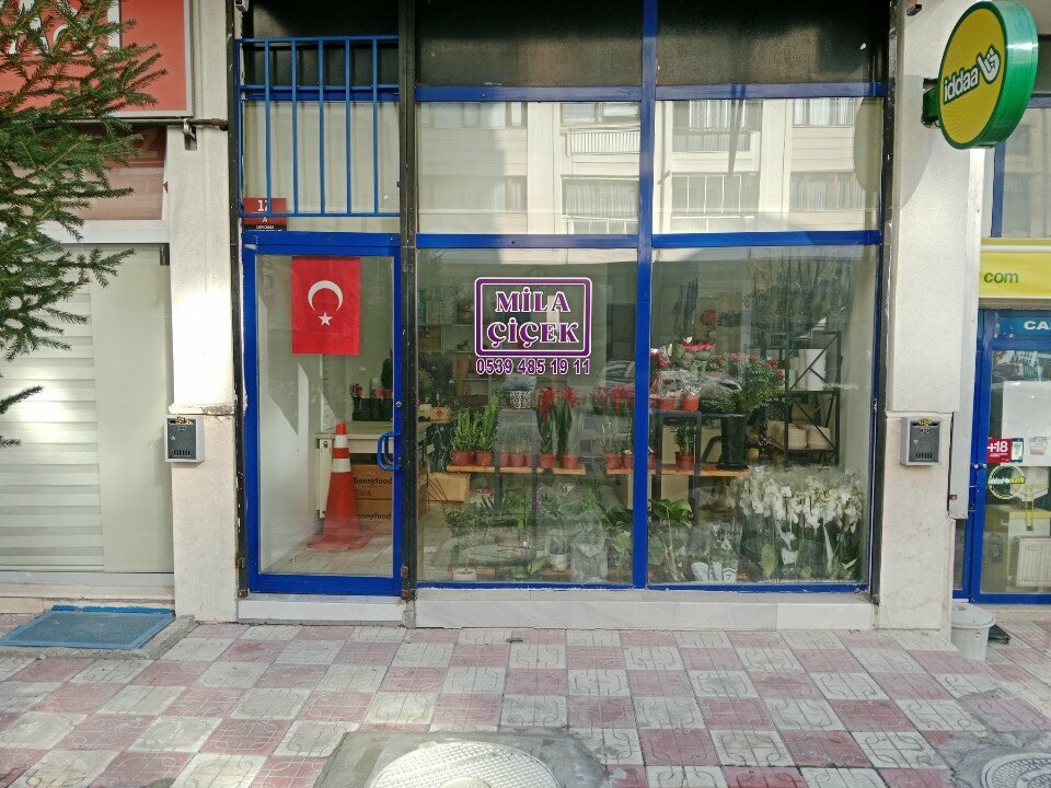 Çiçekçiler Mila Çiçek, Ankara, foto
