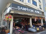 Şampiyon Avm (İstanbul, Esenyurt, Ufuk Cad., 69A), ucuzluk mağazası  İstanbul'dan