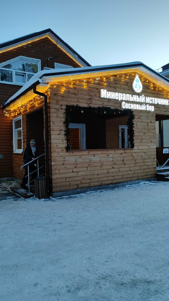 Tatil altyapısı Baza otdykha Mineralny istochnik Sosnovy bor, Tümen (Tiumenskaya) oblastı, foto