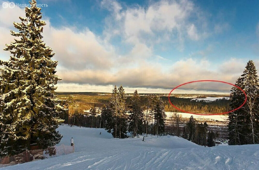 Yazlık yerleşim Коробицыно, Saint‑Petersburg ve Leningradskaya oblastı, foto
