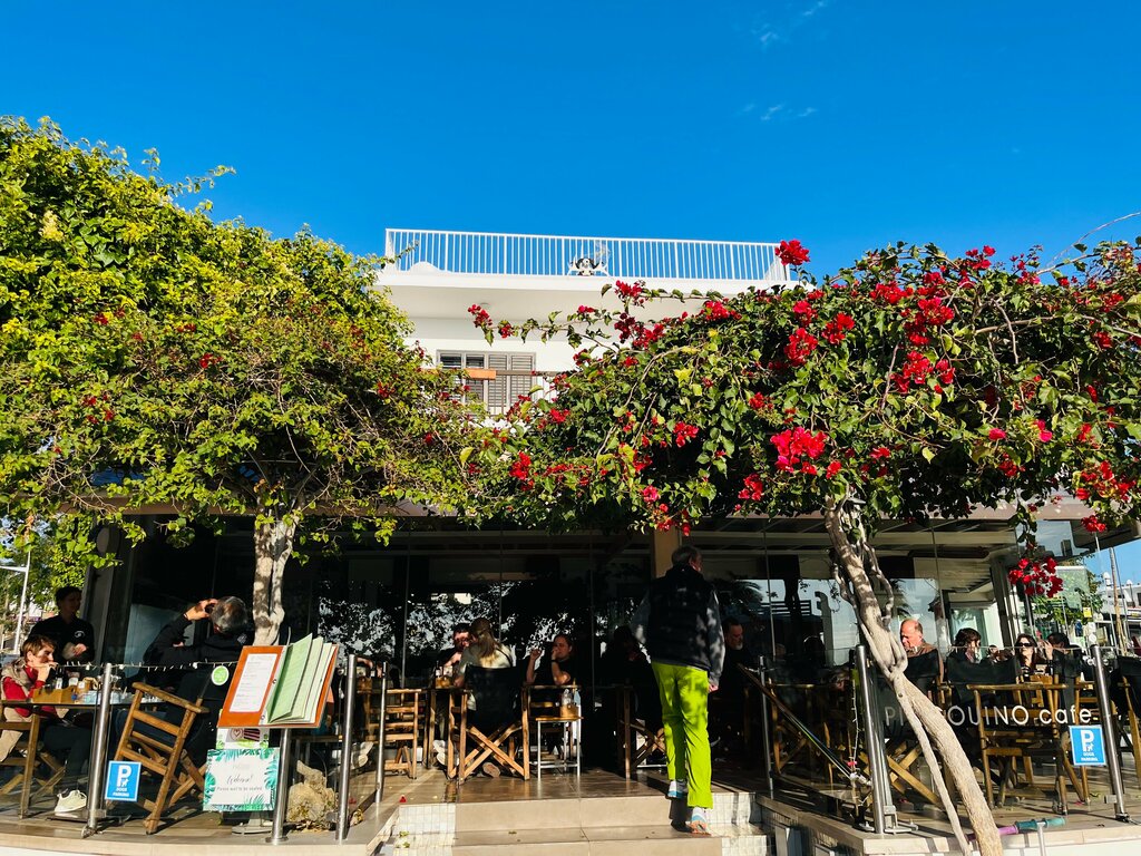 Kafe Pingouino Kafe, Baf (Paphos), foto