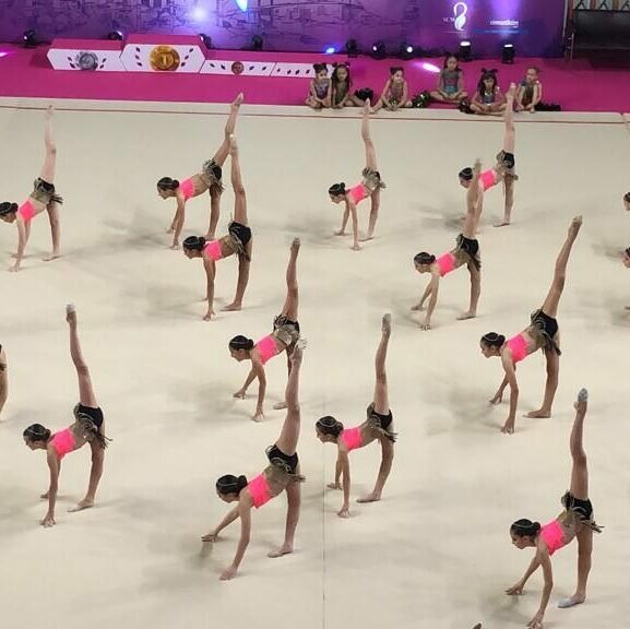 Spor okulları Lotus Ritmik Cimnastik Spor Kulübü, İstanbul, foto