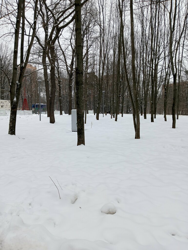 Buz pateni pistleri Ice rink, Himki, foto
