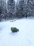 Родник Лягушка (Republic of Karelia, Petrozavodsk, alleya Lyagushka), pınar, çay  Petrozavodsk'tan
