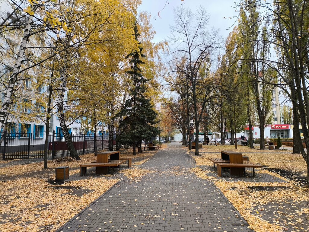 Kültür ve eğlence parkları Студенческий сквер, Stariy Oskol, foto