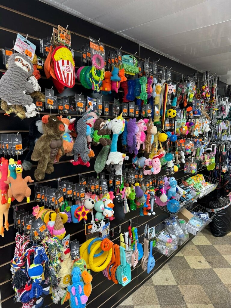 Petshop ЗооЛапа, Kazan, foto