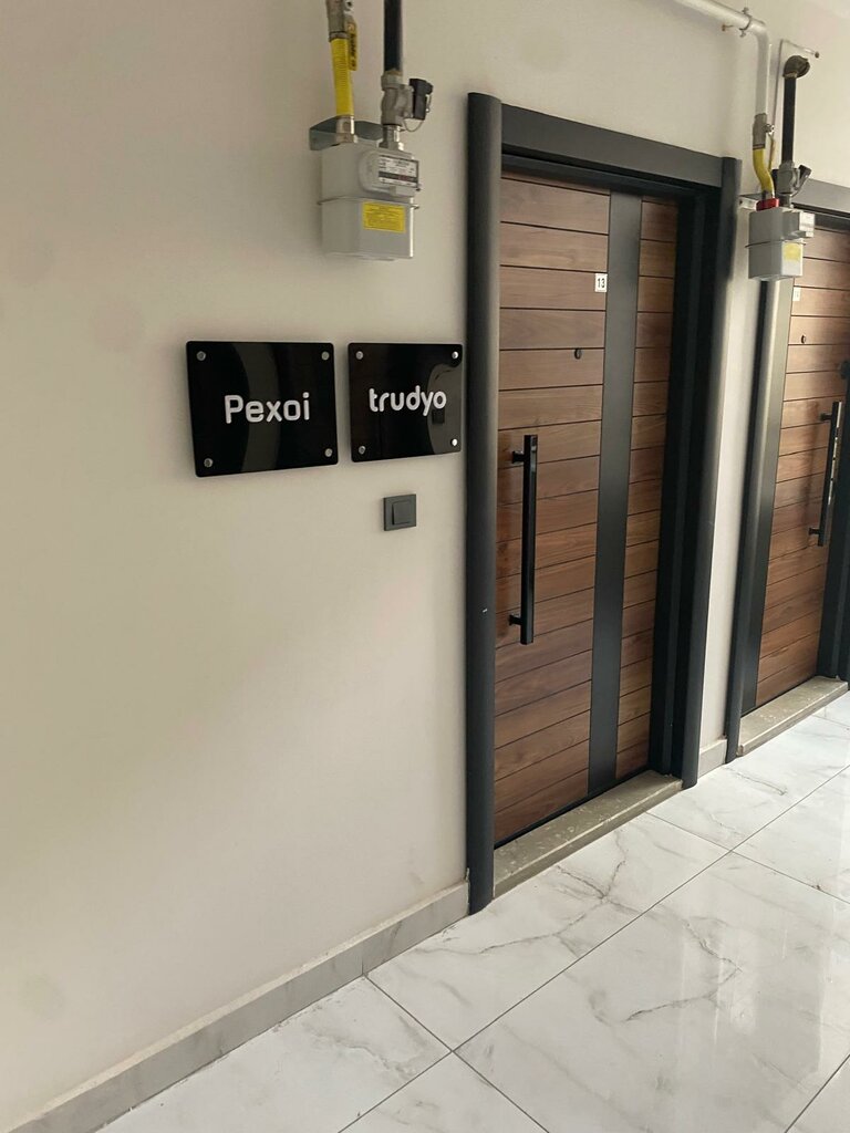 Elektronik cihaz ve parça firmaları Trudyo, Bursa, foto