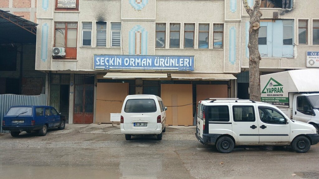 Kereste üretim ve satış şirketleri Seçkin Orman Ürünleri, Ankara, foto