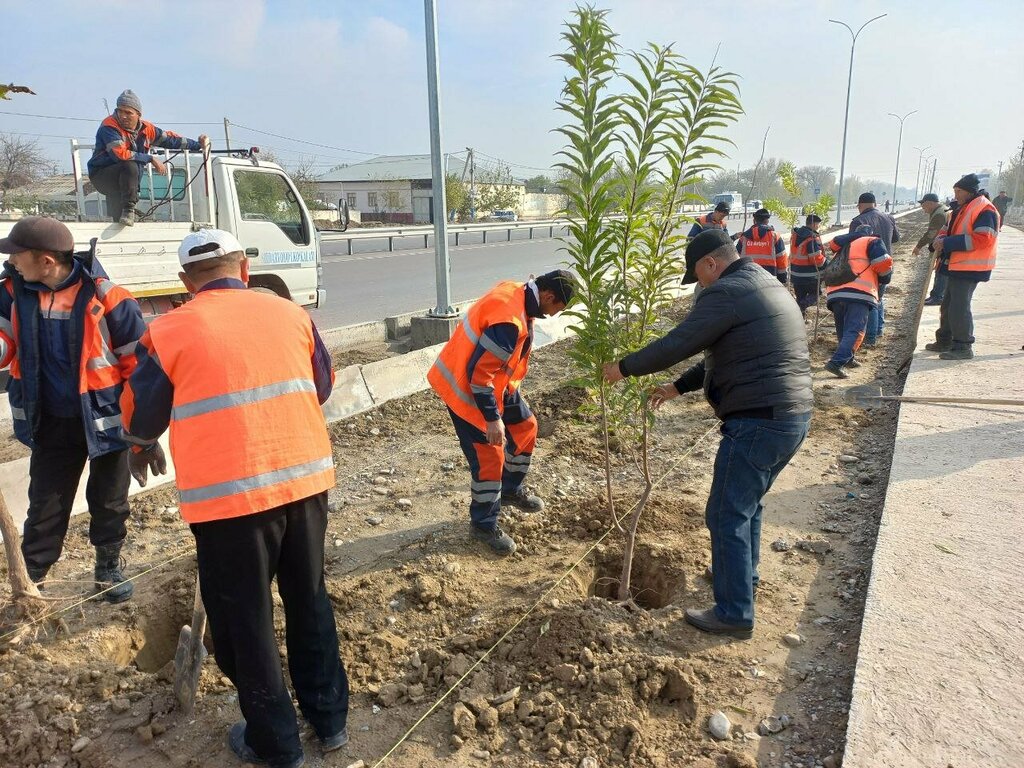 Yol yapımı ve bakımı Sirdaryo Region Road Management Authority, Gülistan, foto