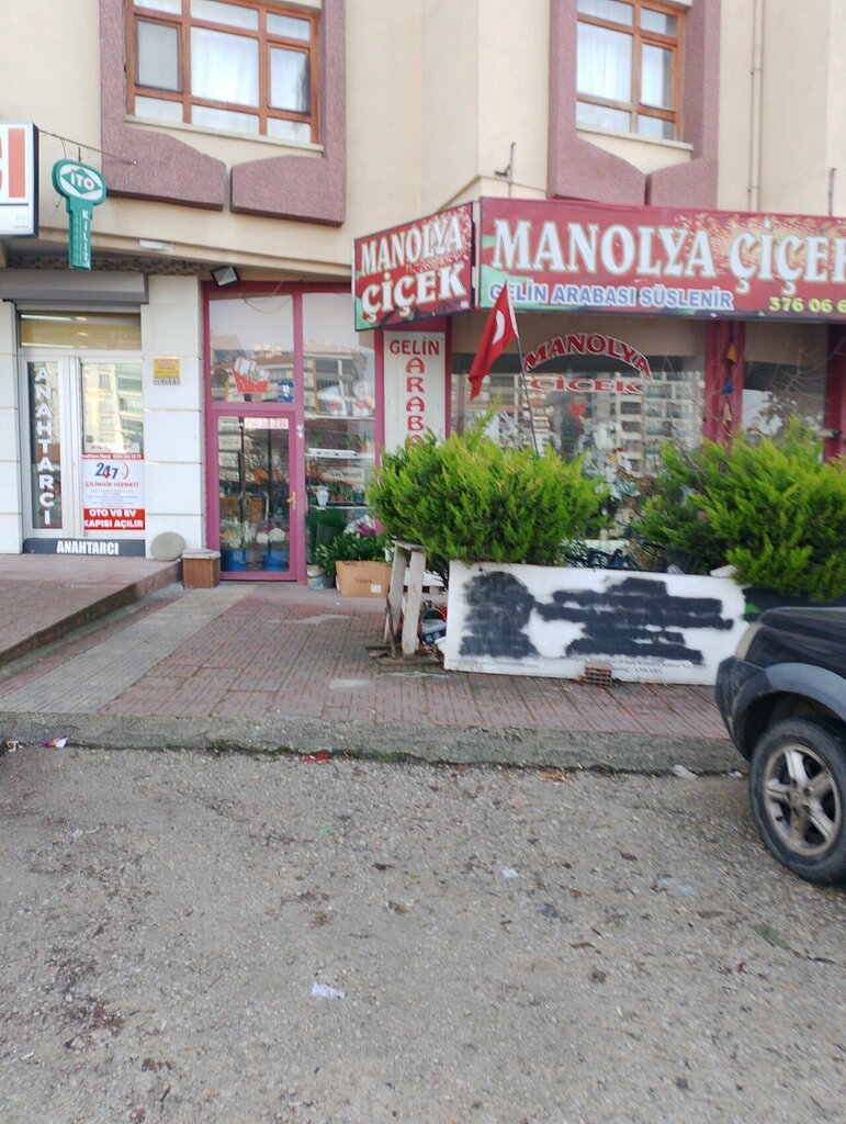 Çiçekçiler Manolya Çiçek, Ankara, foto