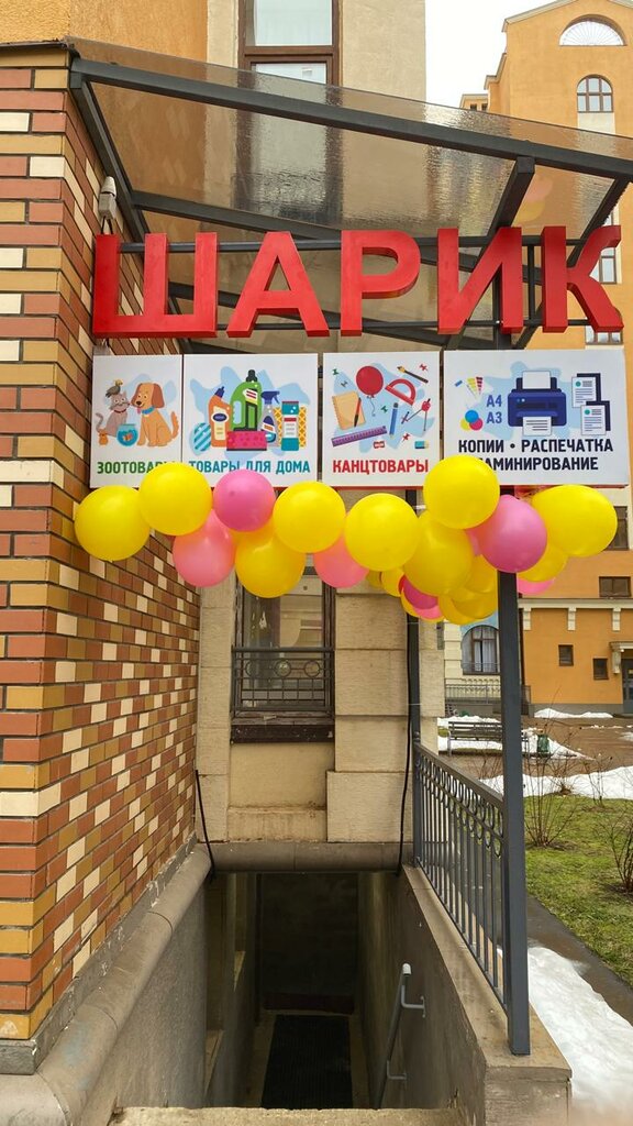 Ev temizlik ürünleri Sharik, Moskova ve Moskovskaya oblastı, foto