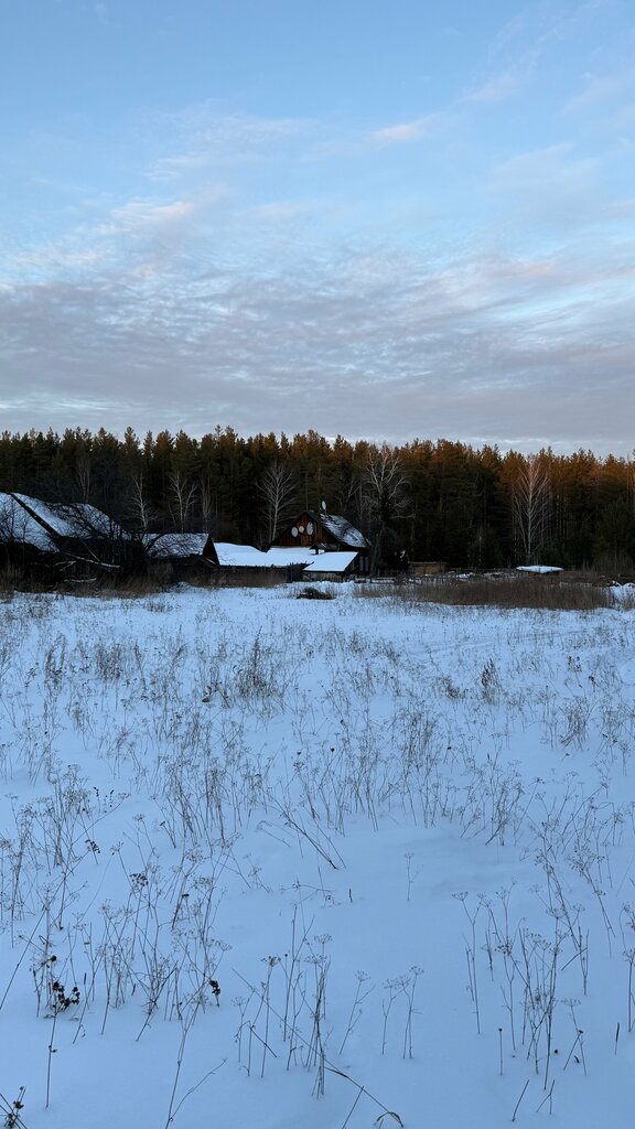 Hayvancılık Животноводческое хозяйство, Sverdlovskaya oblastı, foto