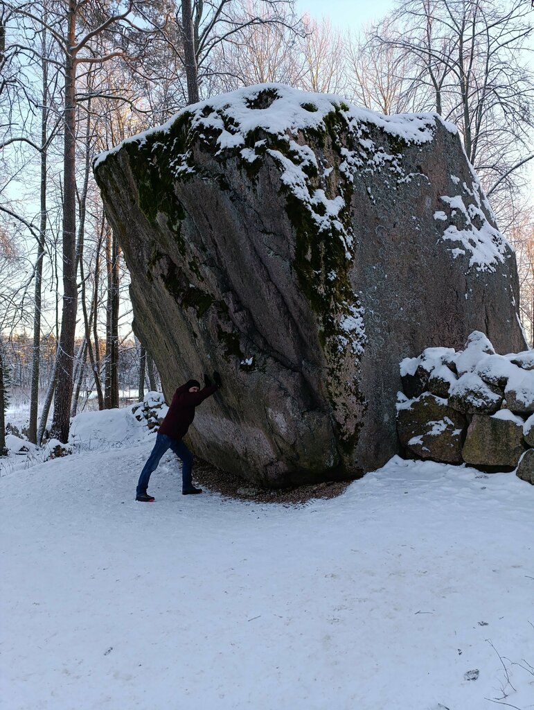 Turistik yerler Chinese umbrella stone, Vyborg, foto