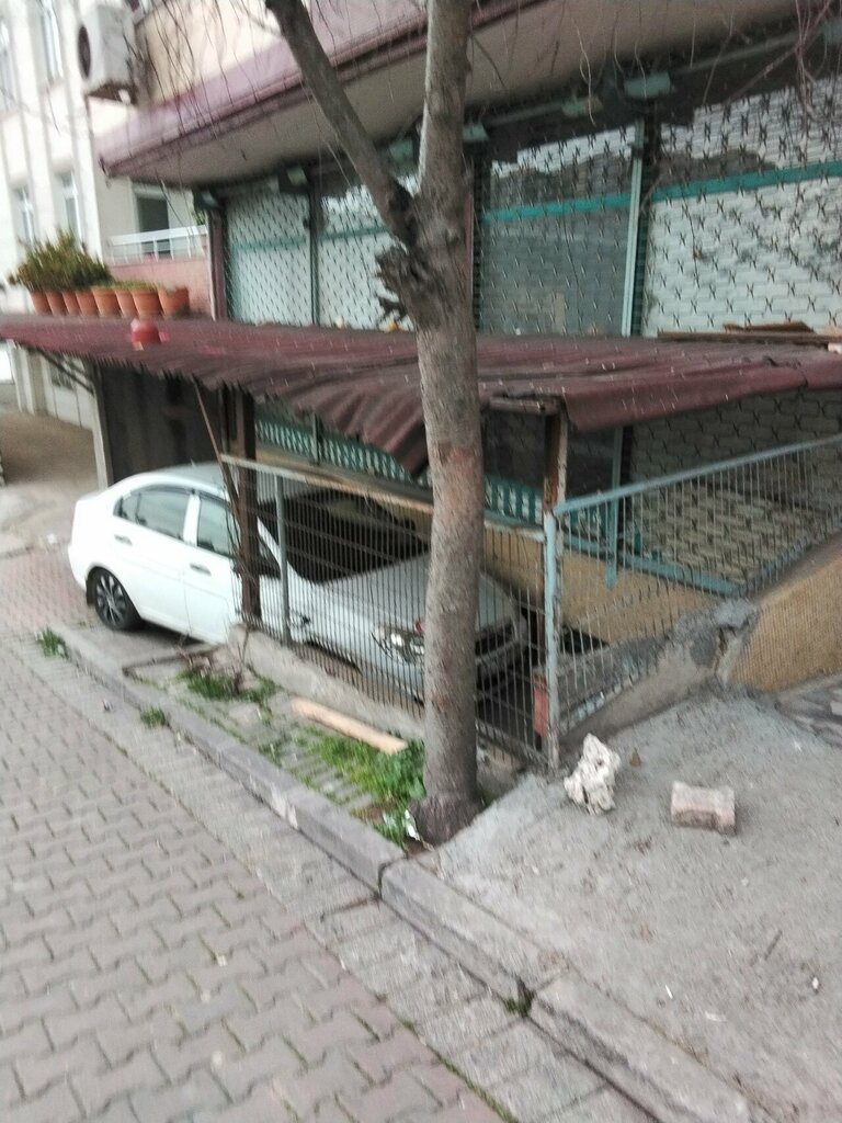 Otomobil satış galerileri FordDünyası.com, İstanbul, foto