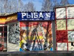 Рыба и морепродукты (ulitsa Shubinykh No:11А), balık ve deniz ürünleri  İvanovo'dan