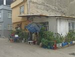 Engin Bisiklet (Ortabağlar Mah., 5. Cenk Sok., No:11A, Yıldırım, Bursa), spor kulüpleri  Bursa'dan