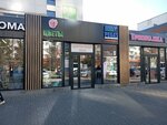 Цветы (Pravdy Street No:17), çiçekçiler  Ufa'dan