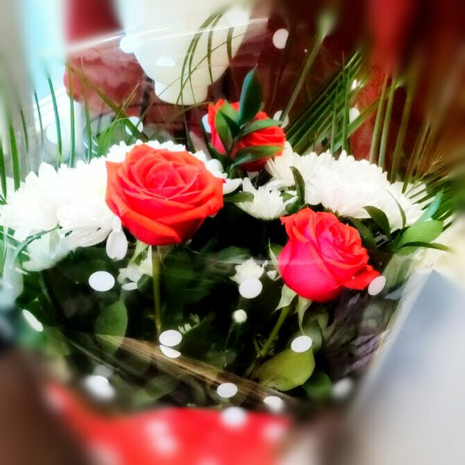 Çiçekçiler Blend Of Flowers, Nijegorodskaya oblastı, foto