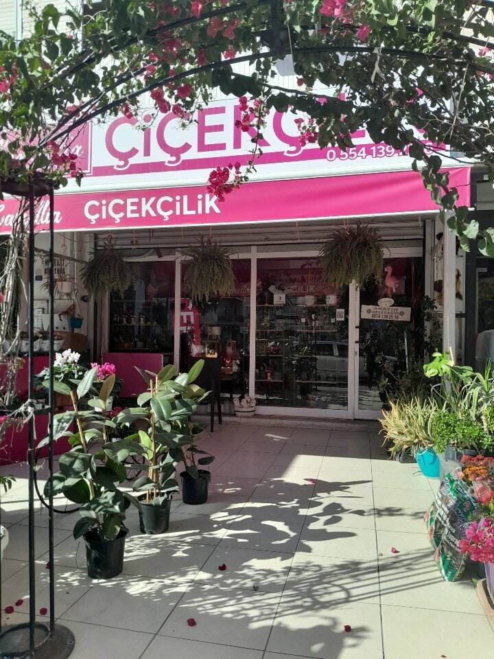 Çiçekçiler Camellia Çiçekçilik, İzmir, foto