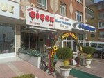 My Melis Çiçek Evi (Ankara, Keçiören, Ayvalı Mah., Gazze Cad., 46D), çiçekçiler  Ankara'dan