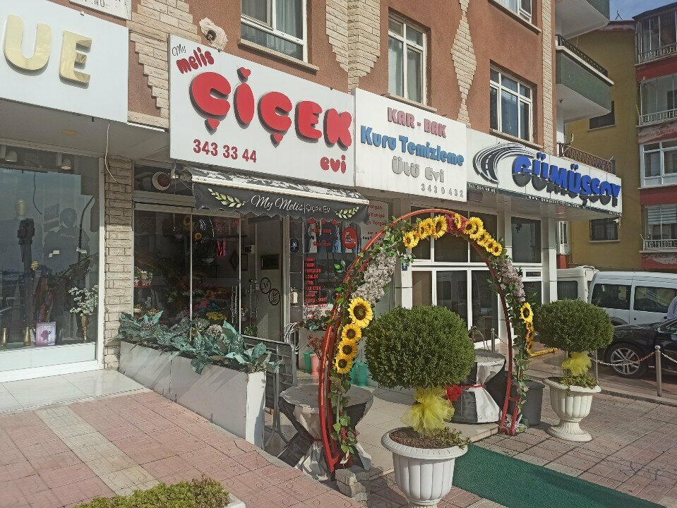 Çiçekçiler My Melis Çiçek Evi, Ankara, foto