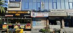 Demir Petshop (Yeşilköy Mah., Demiryolu Cad., No:7B, Bakırköy, İstanbul), petshop  İstanbul'dan