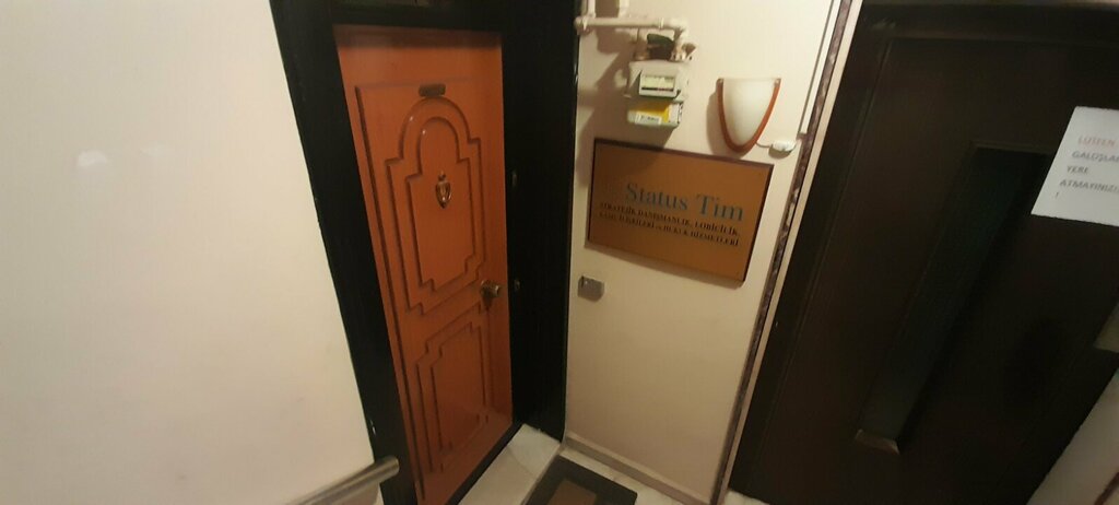 Danışmanlık hizmetleri Status Tim, İstanbul, foto