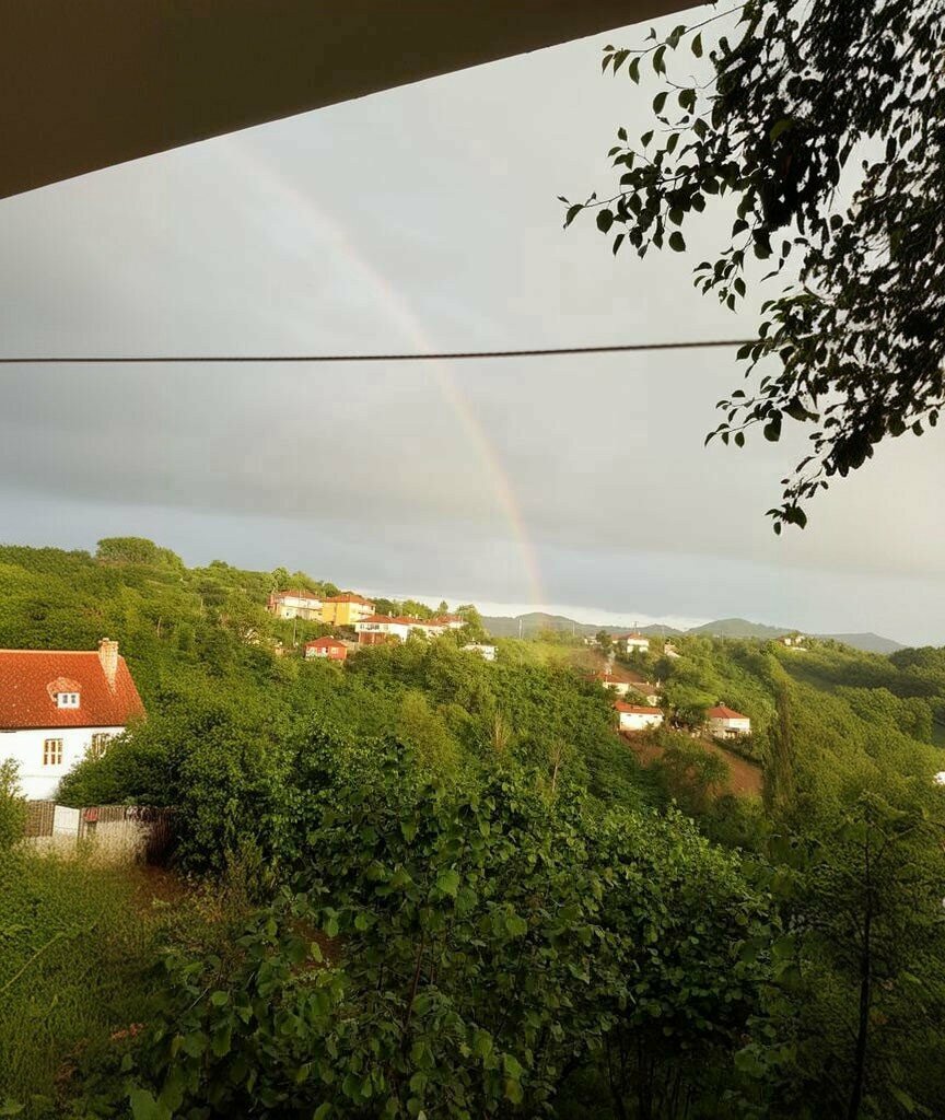 Muhtarlıklar Ballıca Köyü Muhtarlığı, Ereğli, foto