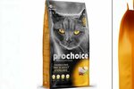 Atlas (Balıkesir, Bandırma, Mehmetçik Cad., 103A), petshop  Bandırma'dan