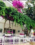 Fatih Ağa Pansiyon (Muğla, Bodrum, Kumbahçe Mah., Atatürk Cad., 75), otel  Bodrum'dan