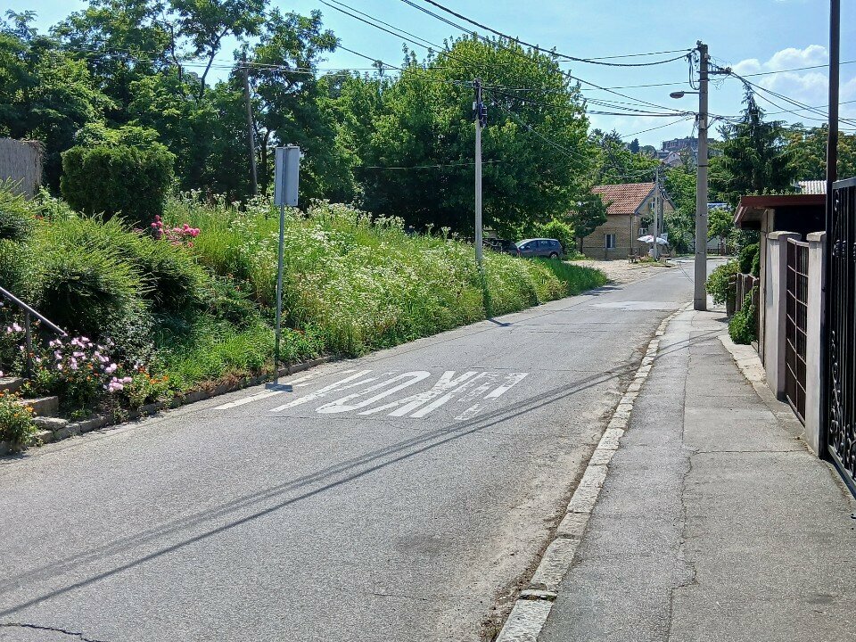 Güzellik salonu Frizerski salon Šmizla Hairstyle, Dünya, foto
