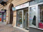 Optika Pavlović (Yevreyskaya ulitsa No:18), optik  Novi Sad'dan