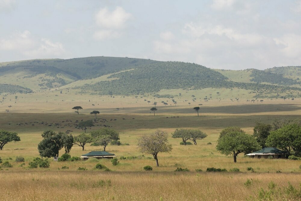 Otel Elewana Sand River Masai Mara, Dünya, foto