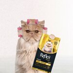 Tavas Pet Dış (İzmir, Anadolu Cad., 41), petshop  İzmir'den