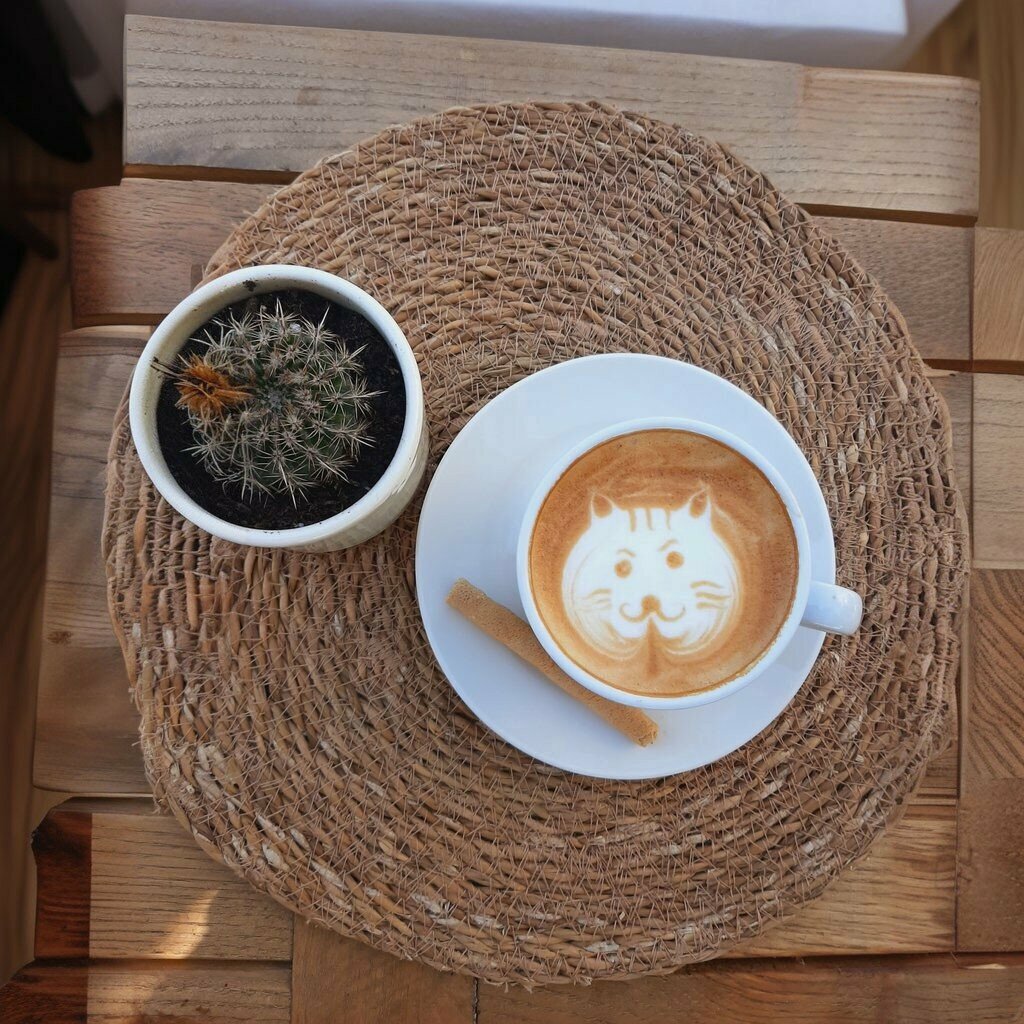 Kafe Anka Cafe, Marmara, foto