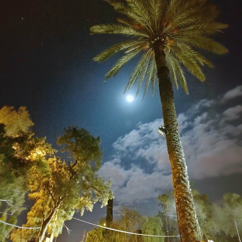 Emlak ofisi Arel Emlak Fethiye, Fethiye, foto